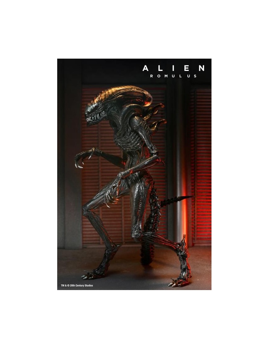 Neca Alien Romulus Scorched Alien Xenomorph