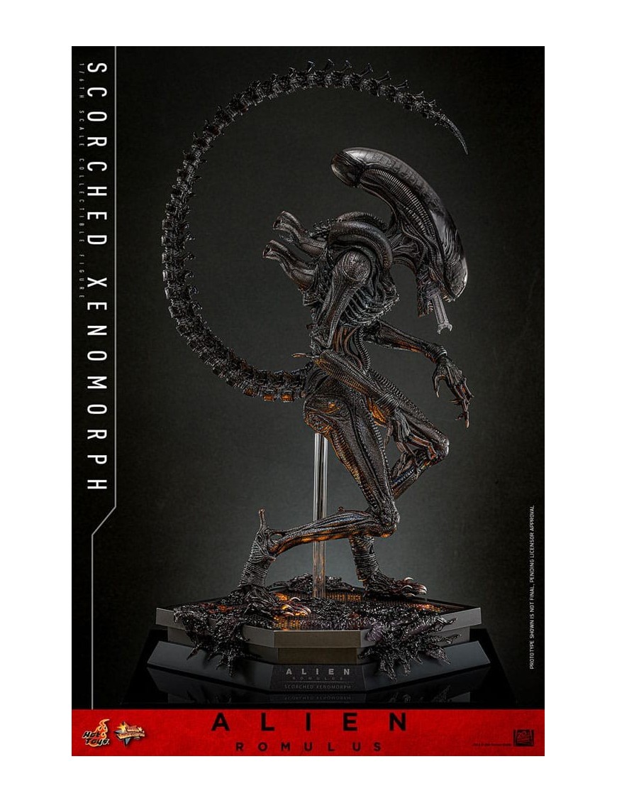 Hot Toys Movie Masterpiece Alien Romulus Scorched Xenomorph 1/6 Scale ...