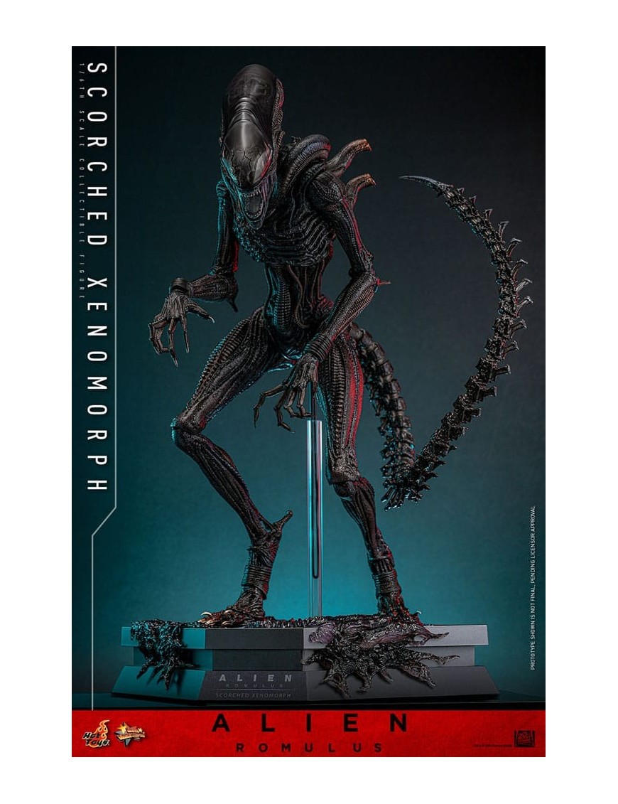 Hot Toys Movie Masterpiece Alien Romulus Scorched Xenomorph 1/6 Scale ...