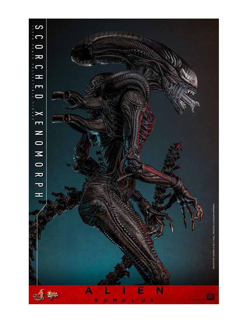 Hot Toys Movie Masterpiece Alien Romulus Scorched Xenomorph 1/6 Scale ...
