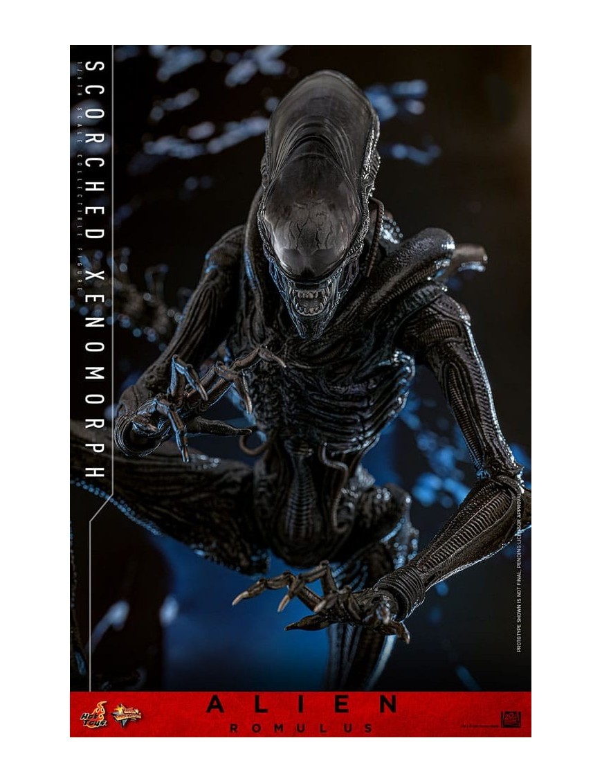 Hot Toys Movie Masterpiece Alien Romulus Scorched Xenomorph 1/6 Scale ...