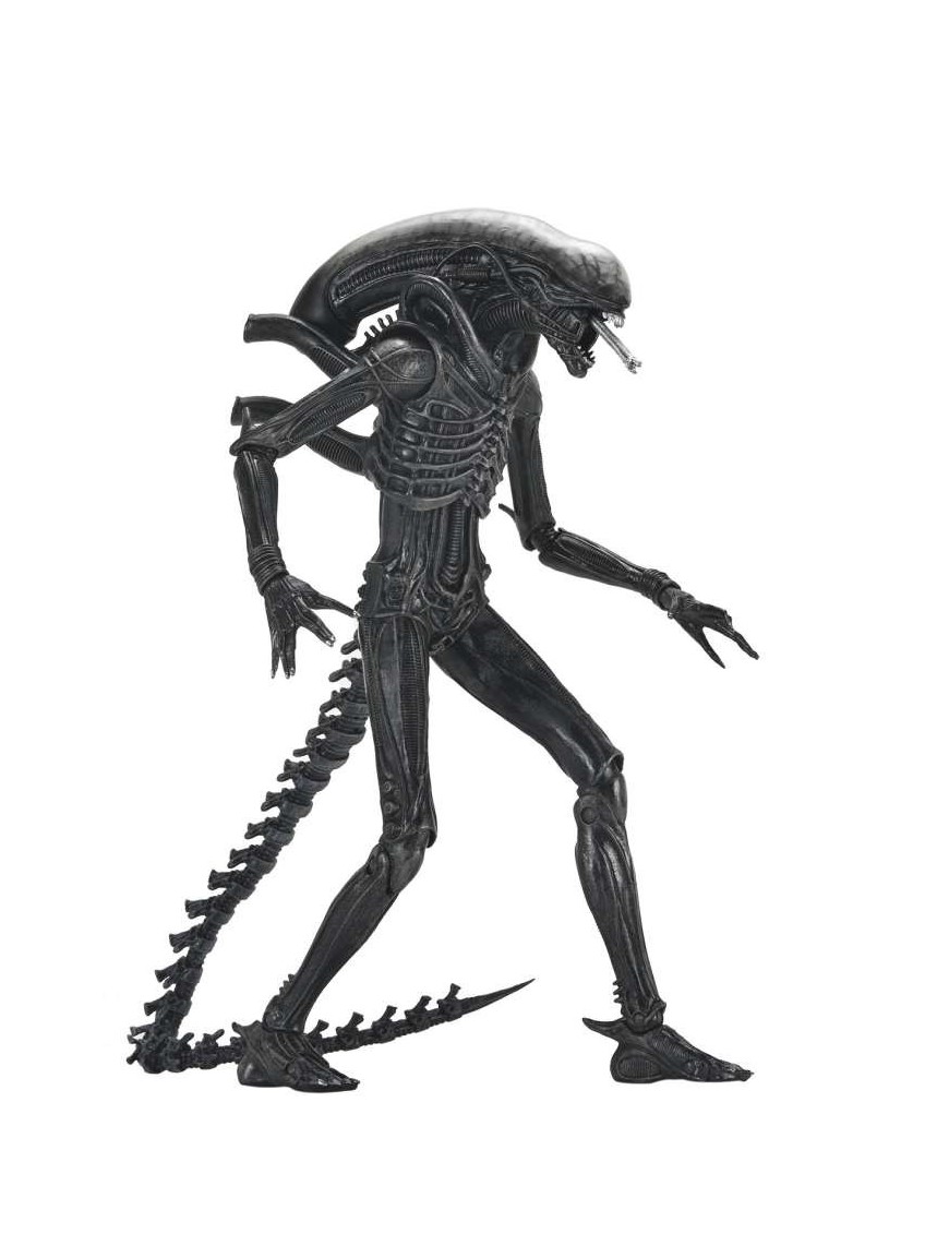 Neca Alien Romulus Scorched Alien Xenomorph XX121